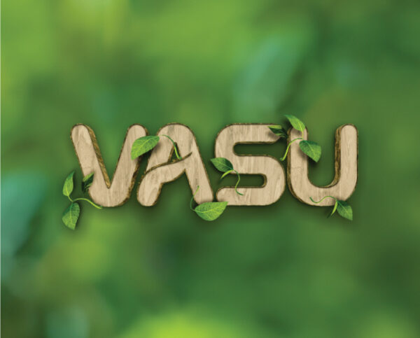 The Vasu Healthcare Logo – Vasu Healthcare